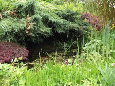 A VISIT TO THE TEVIOT SMOKERY AND WATERGARDENS